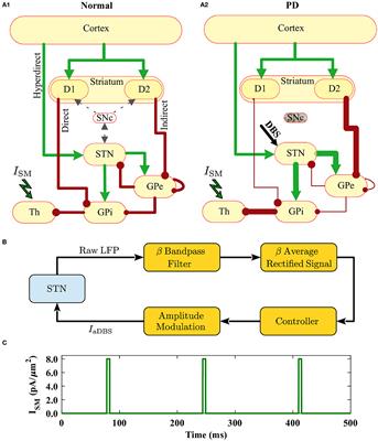 Frontiers | Efficient suppression of parkinsonian beta oscillations in a closed-loop model of ...